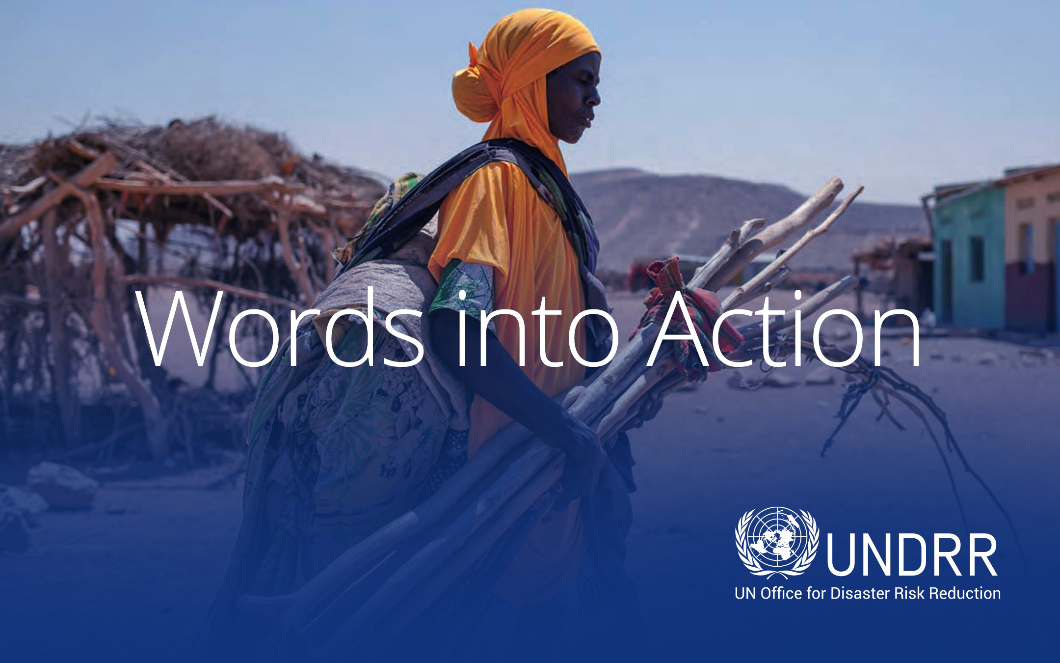 Risk Analysis Courses | UNITAR