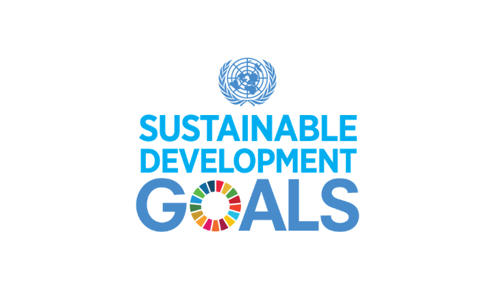 SDGs & Chemicals and Waste | UNITAR