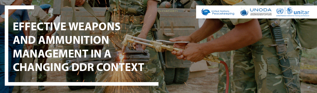 Effective Weapons and Ammunition Management in a Changing DDR Context ...