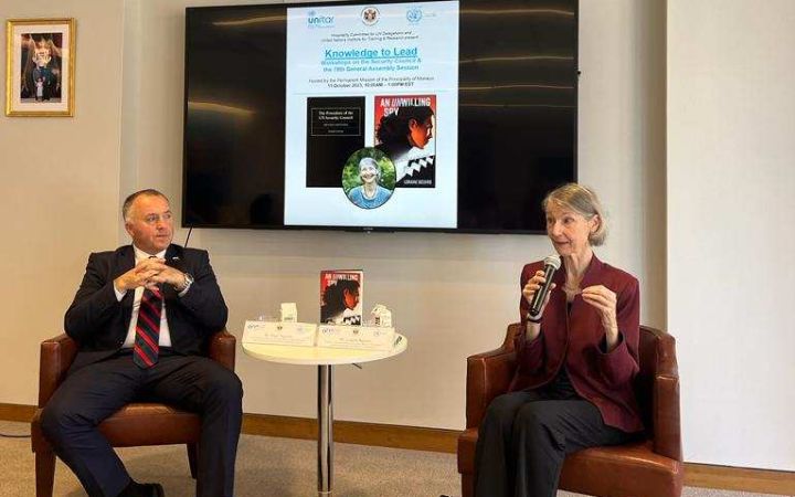 Unitar Hosts Knowledge to Lead Workshops on the Security Council & the ...